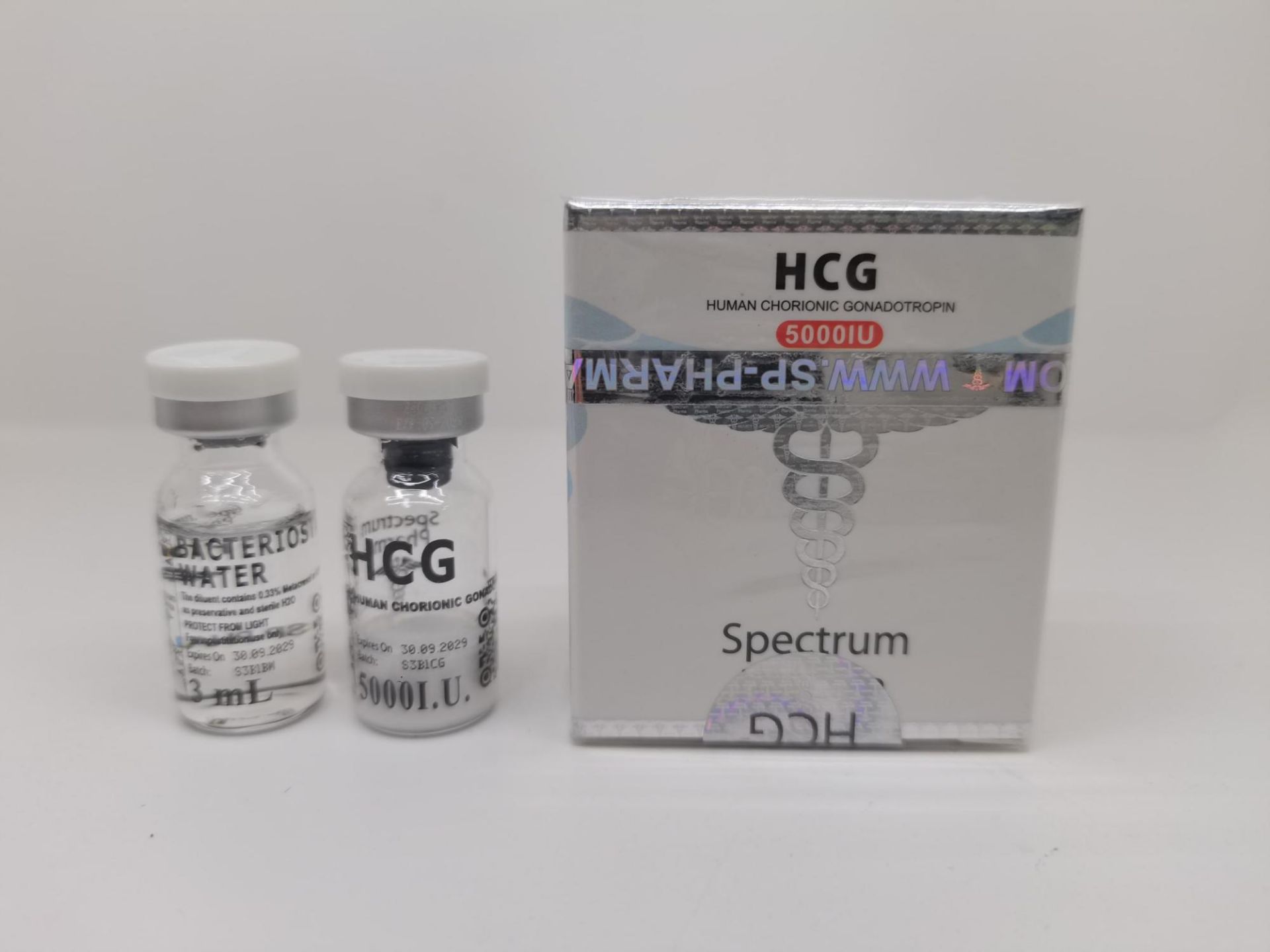 ZPHC Roidsmart – Premium Bodybuilding Gear for Retail & Wholesale. HP ...